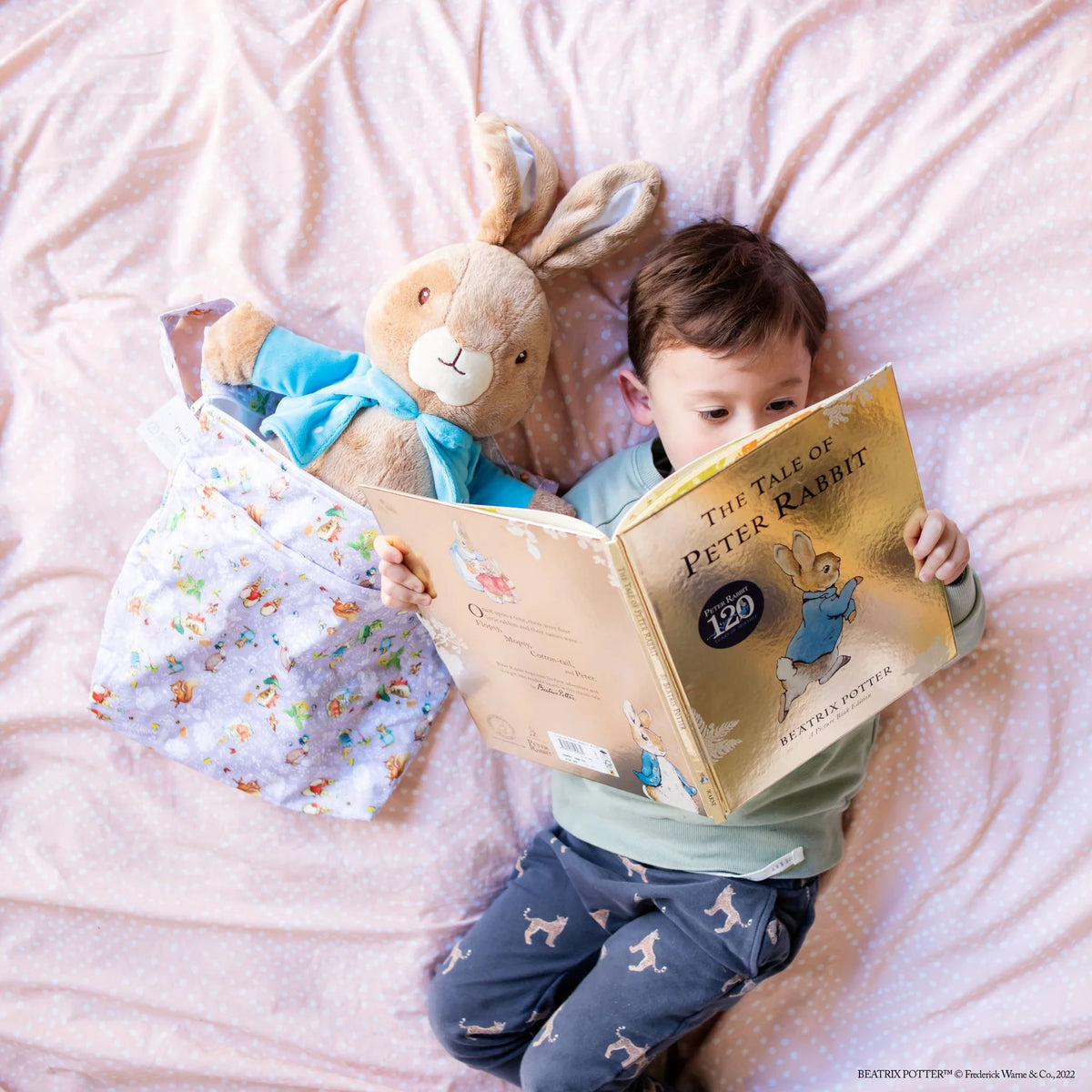 Monarch Store Regular Wet Bag [LICENSED COLLECTION] – The Cloth Stash